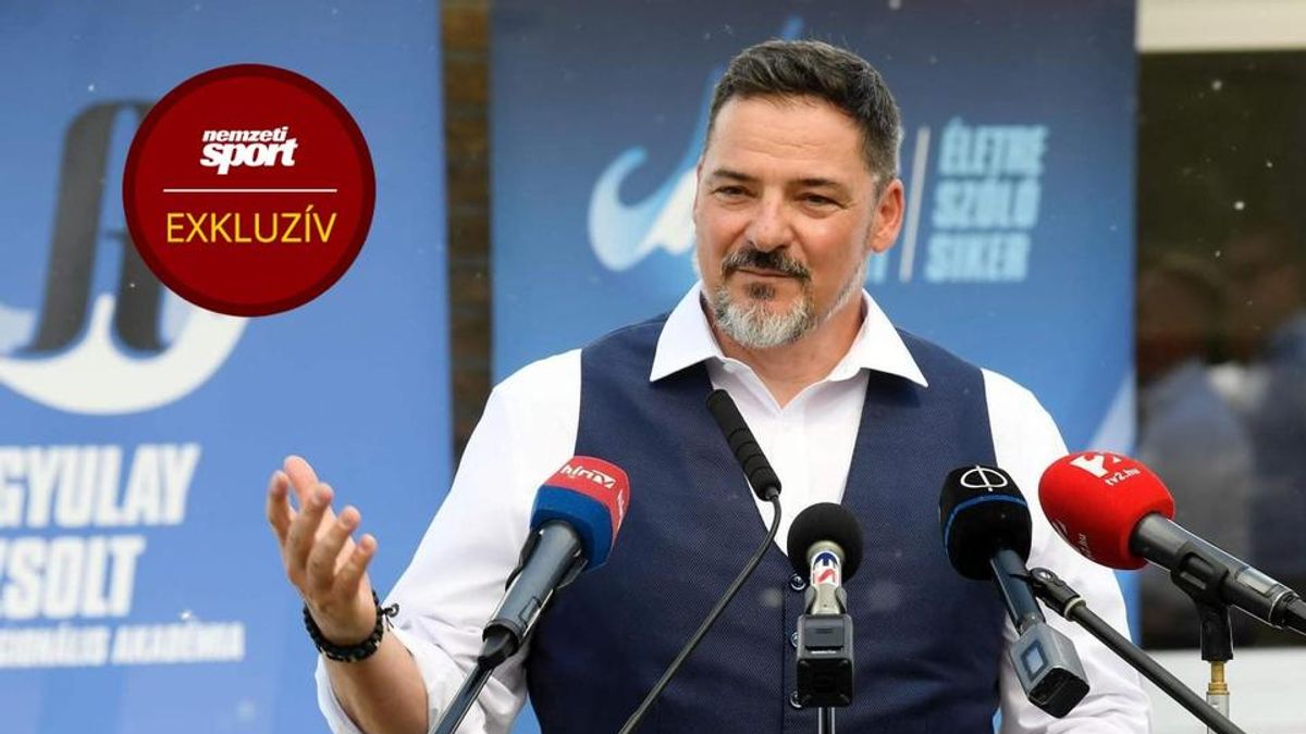 Hungarian Olympic Committee: Zsolt Gyulay is running for presidency ...