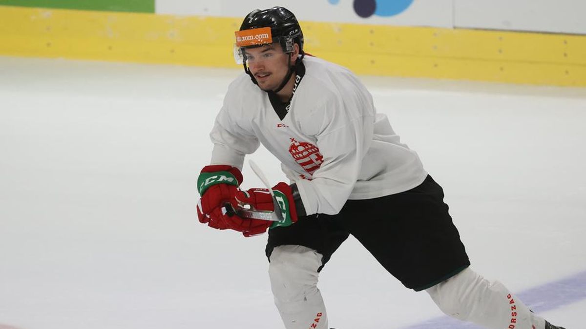Jégkorong: Papp Kristóf ismét megcélozza az NHL-t - Nemzeti Sport
