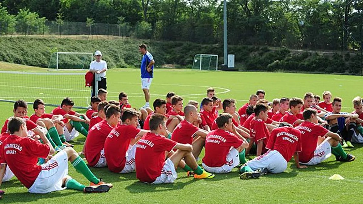 „Nagytakarítás” az MLSZ-ben! Róthot és Bothot is menesztették, Nyilasi ...