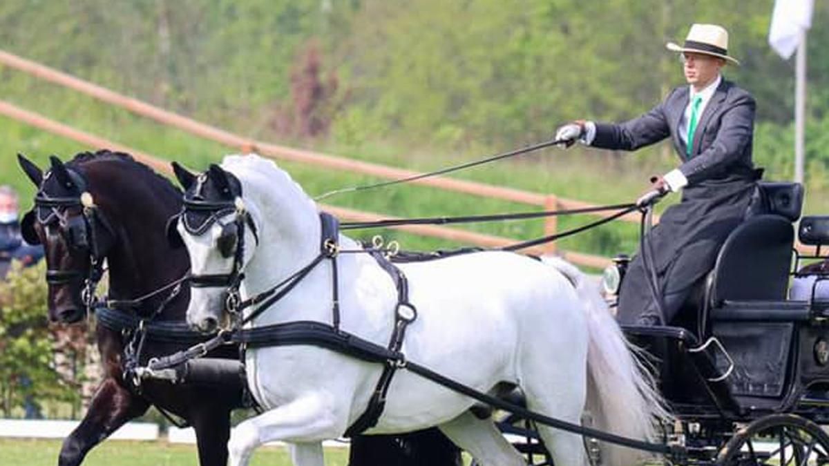 Lovassport: Hölle Martin győzött Bühlben - Nemzeti Sport