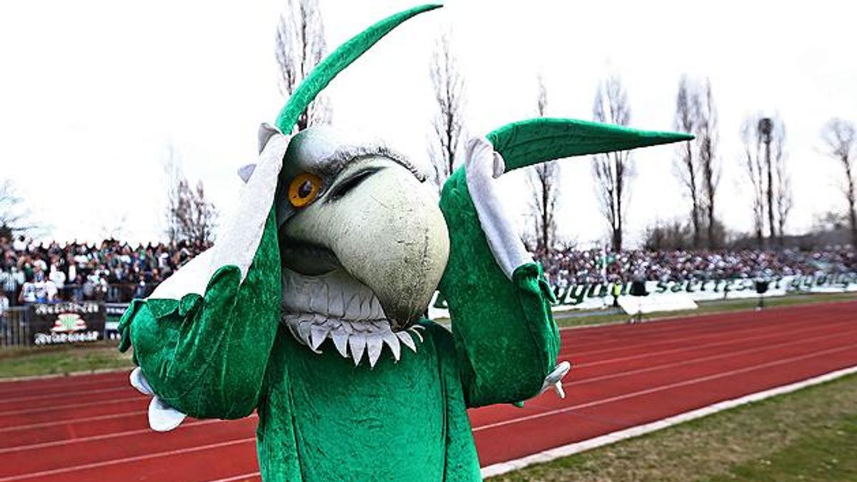 Galéria: a nyugdíjas Fradi-sas a fejét fogta, a zöldek legyőzőiket ...