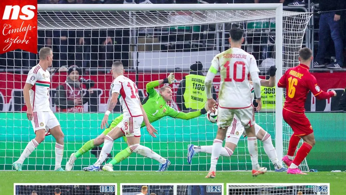 Címlapsztori: Bárcsak már holnap elkezdődne az Eb! – Dibusz Dénes - Nemzeti Sport