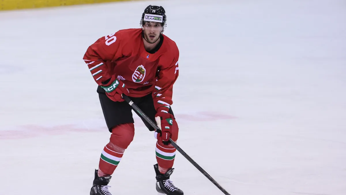 Sofront egy mérkőzésre tiltották el a hoki-vb-n