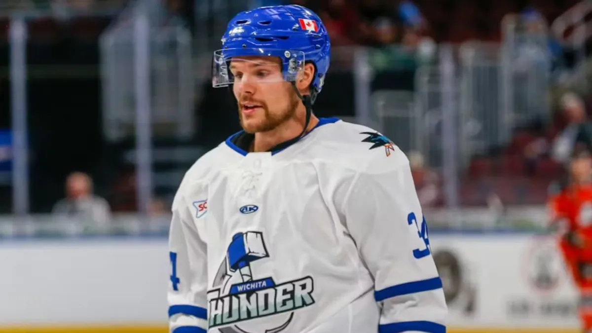 Jason Pineo a DVTK Jegesmedvék játékosa