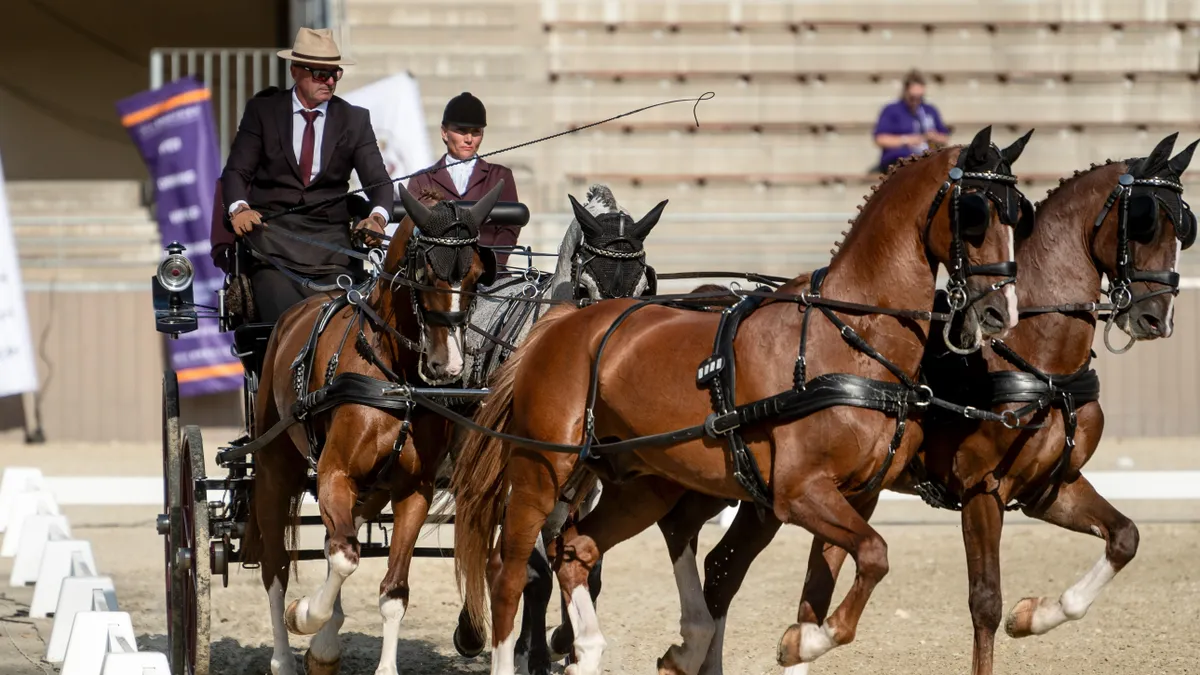 Négyesfogathajtó-vb: Dobrovitz József harmadik az első nap után